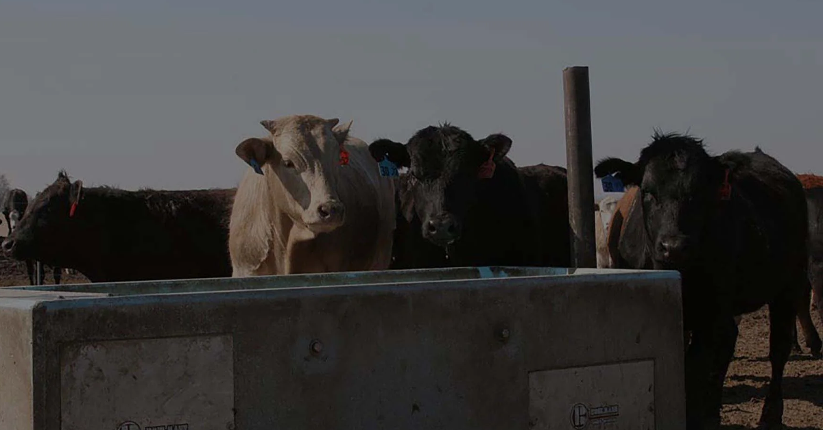 Products – Bohlmann Livestock